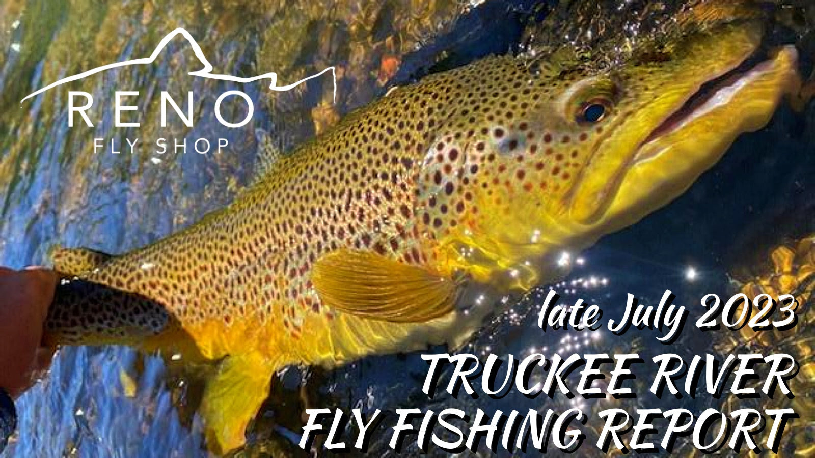 Fly Fishing Report | Truckee River | late July 2023 – Reno Fly Shop