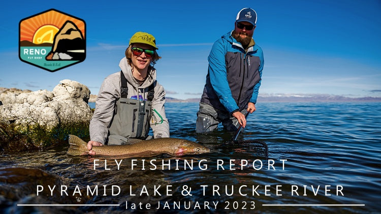 Fly Fishing report | Pyramid Lake & truckee river | NEW INTEGRATED SWI ...