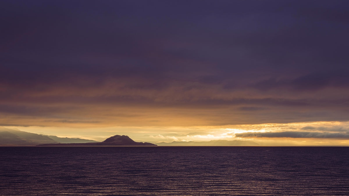 On-the-Water Report | Truckee River and Pyramid Lake | end of January ...