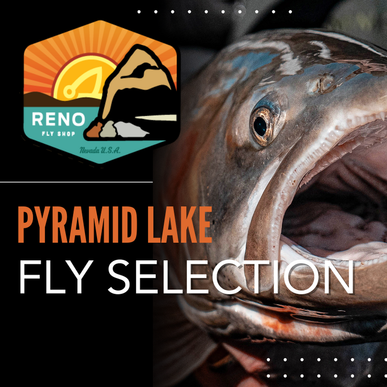 Pyramid Lake Beach Map – Reno Fly Shop