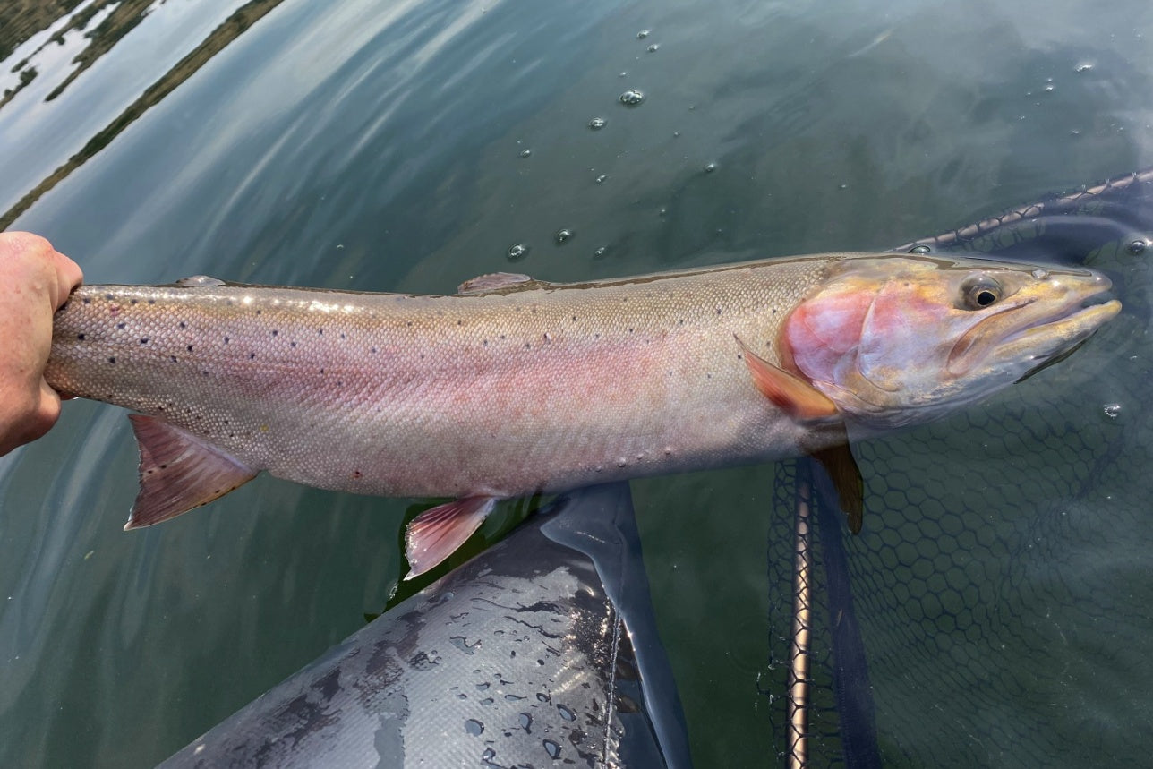 Heenan Lake – Reno Fly Shop