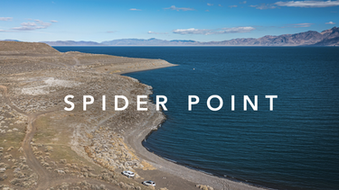 spider-point – Reno Fly Shop