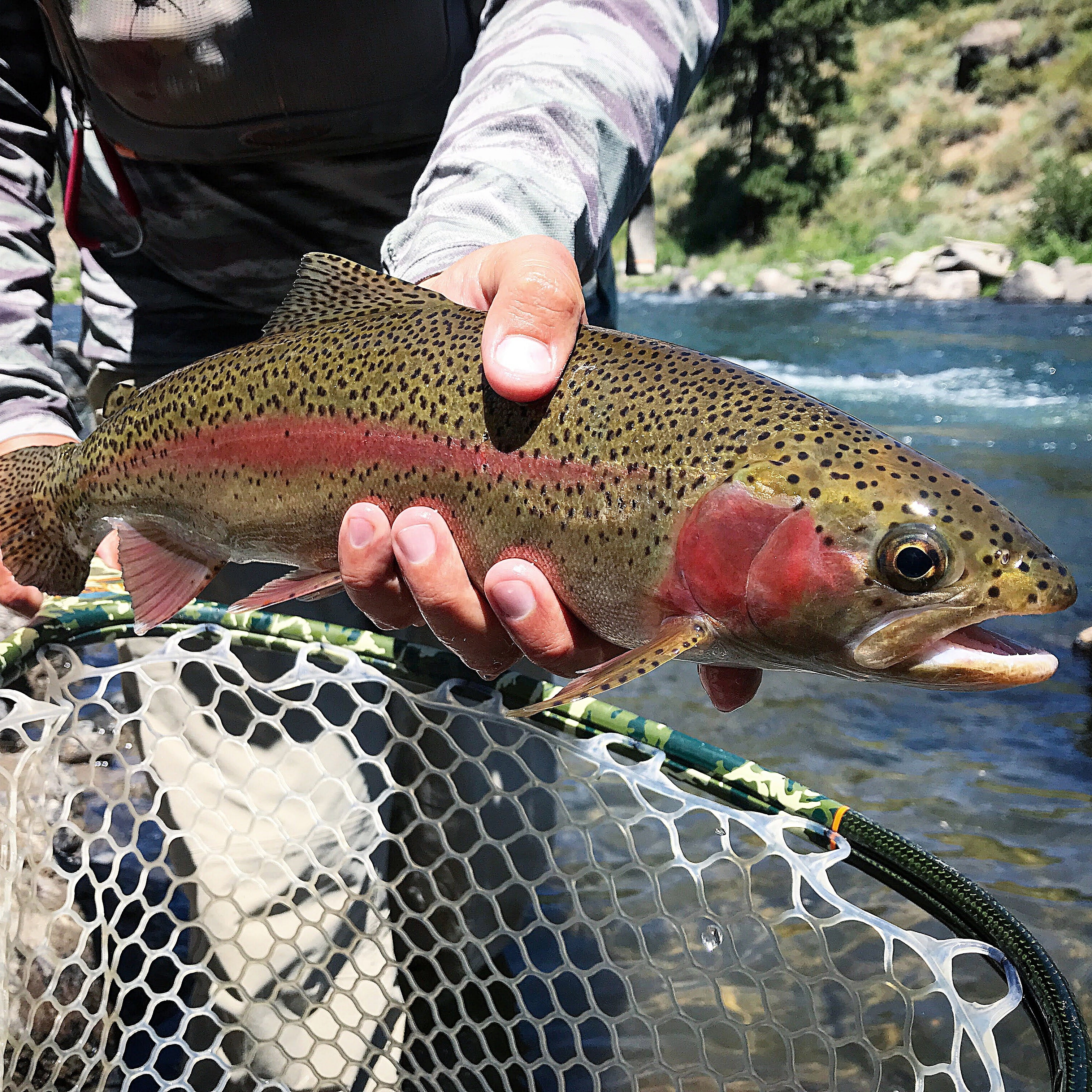 TRUCKEE RIVER – Reno Fly Shop